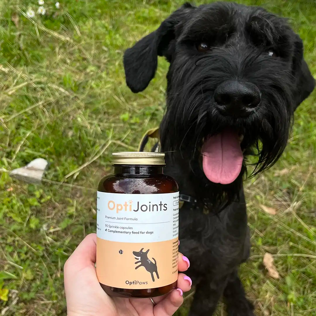 Prehranska dopolnila za pse – OptiPaws Slovenia