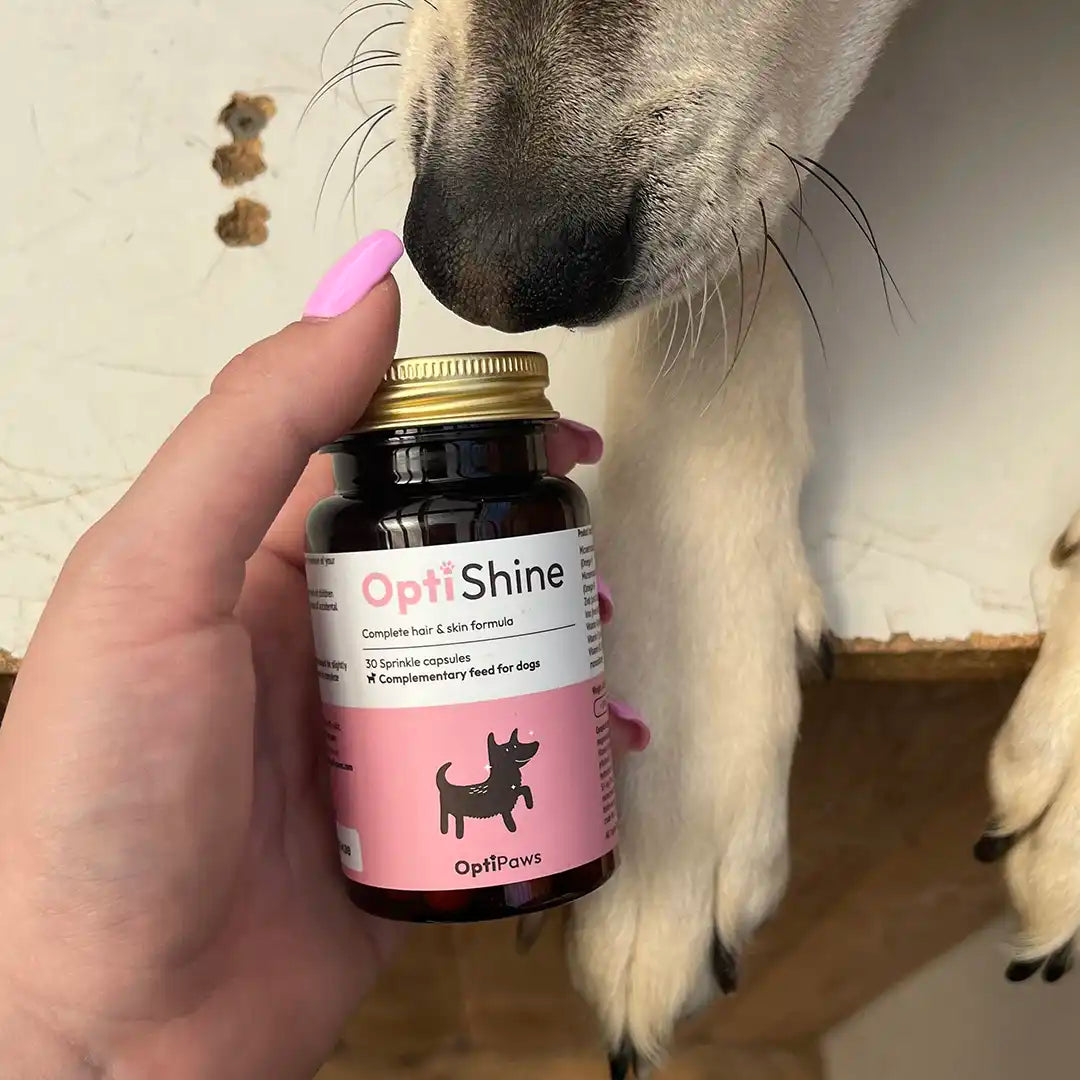 Prehranska dopolnila za pse – OptiPaws Slovenia