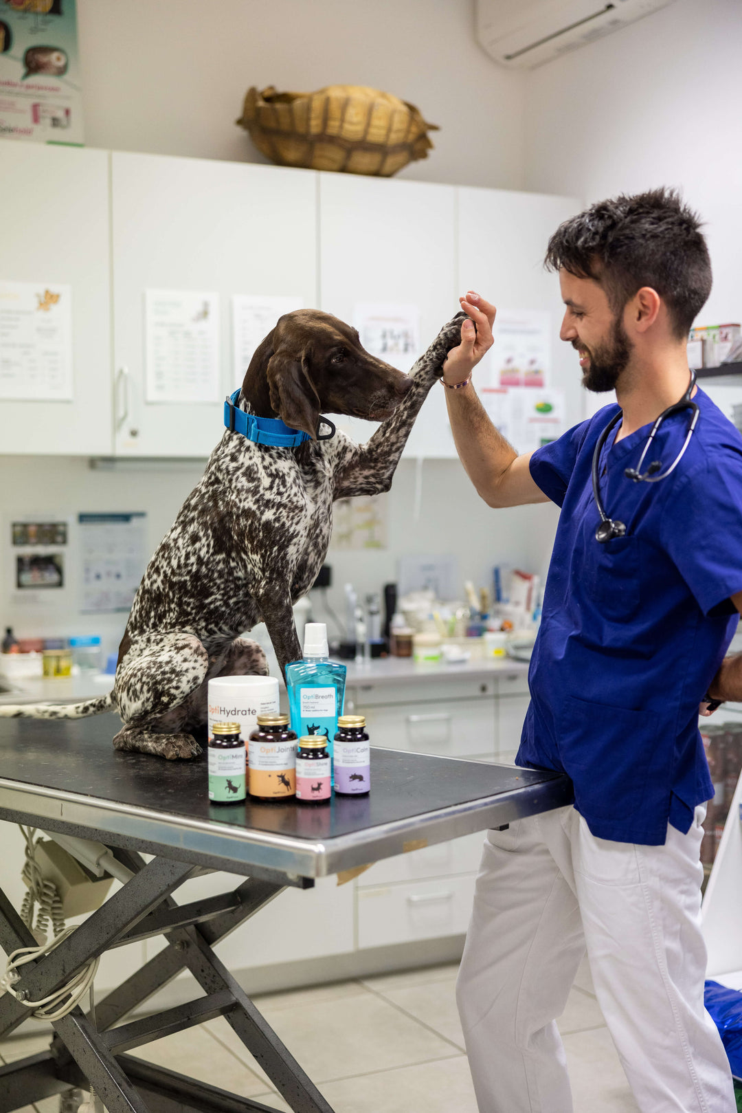 Prehranska dopolnila za pse – OptiPaws Slovenia