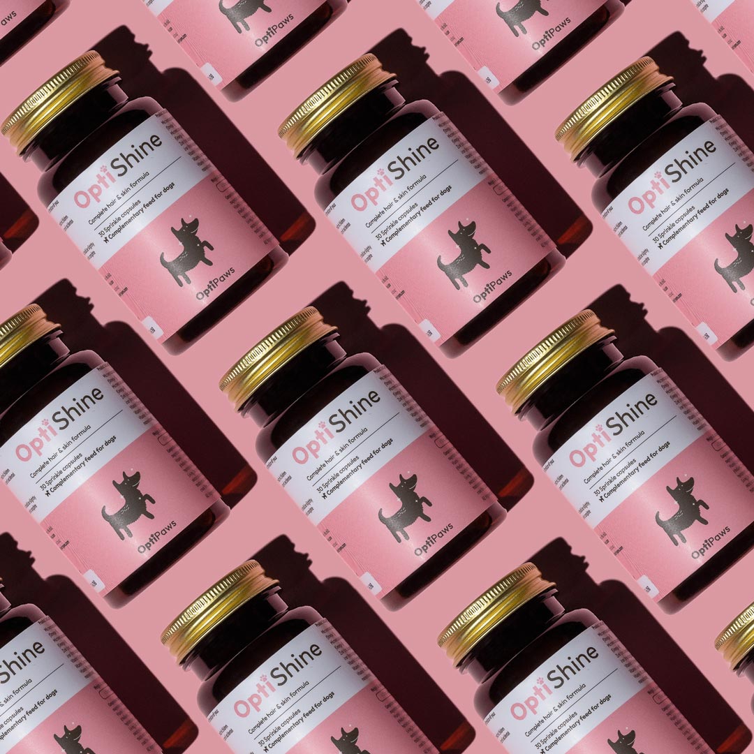 Prehranska dopolnila za pse – OptiPaws Slovenia